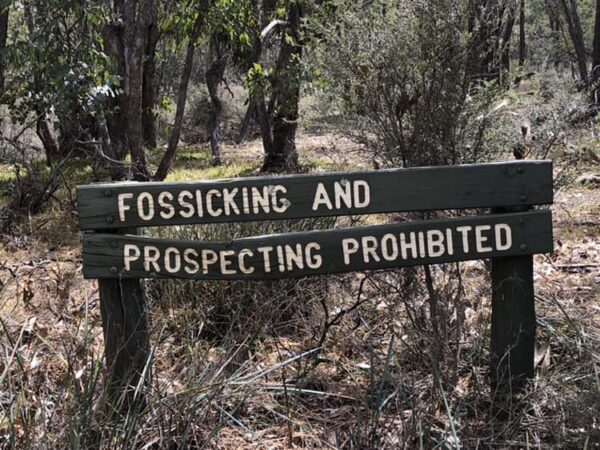 PMAV – Prospectors and Miners Association of Victoria