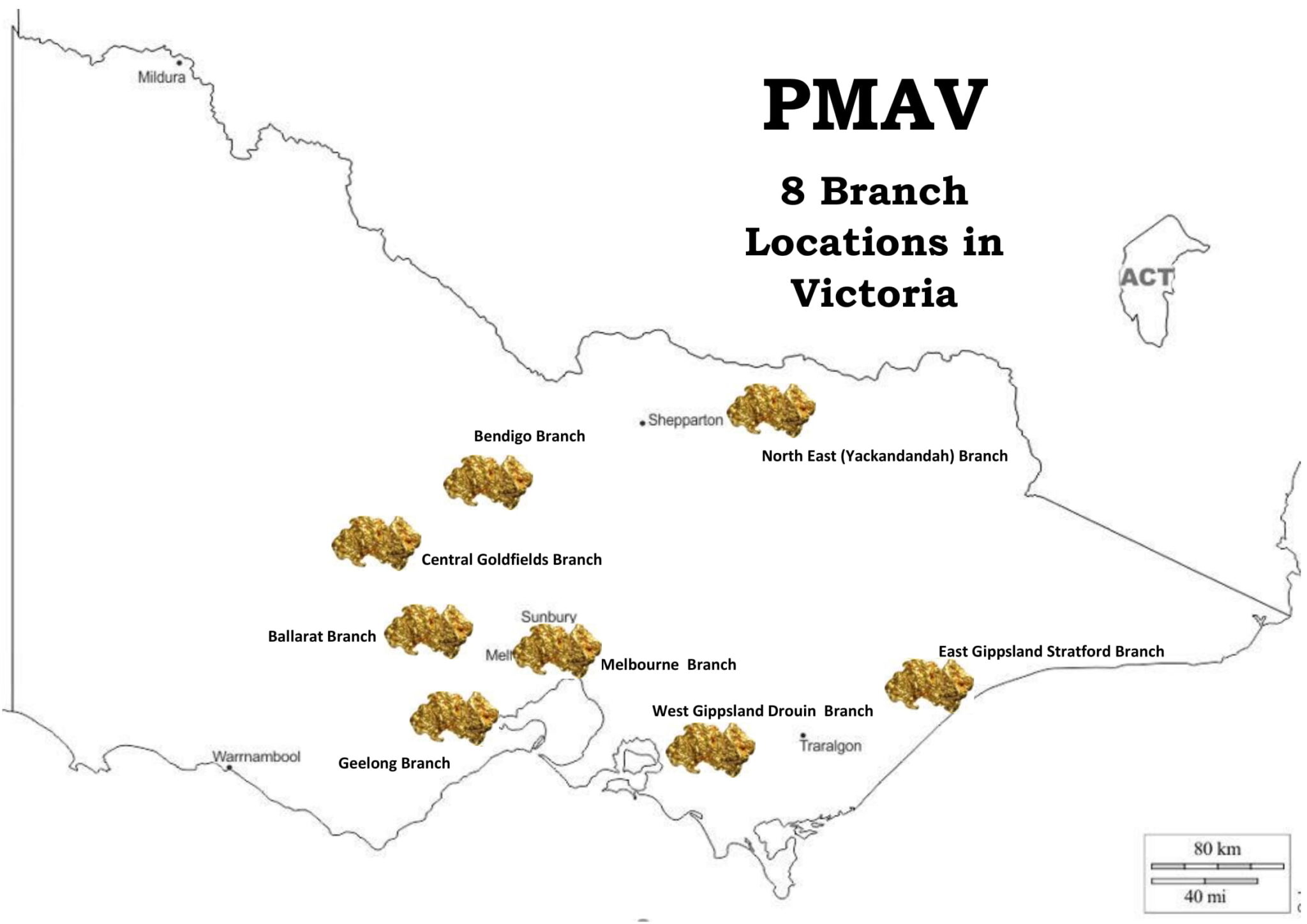 Executive Branch – PMAV